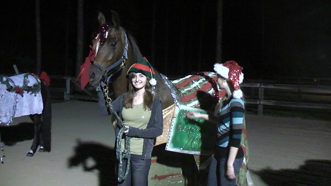 » enchanted-older-1