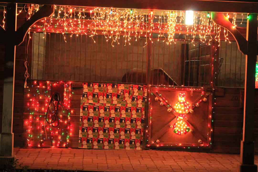 » enchanted-older-10