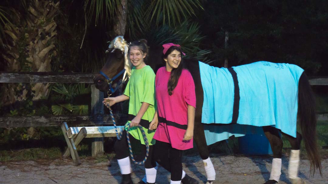 » fall-harvest-past-24