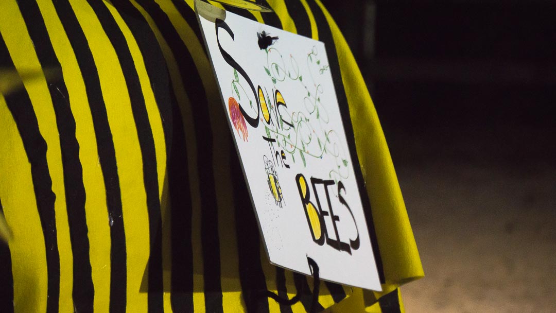 » fall-harvest-past-27